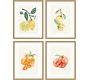 Summer Citrus Framed Print | Pottery Barn