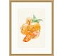 Summer Citrus Framed Print | Pottery Barn