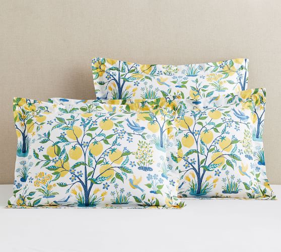 Capri Lemon Tree Percale Sham | Pottery Barn