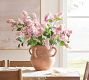 Halldale Terracotta Vase Collection | Pottery Barn