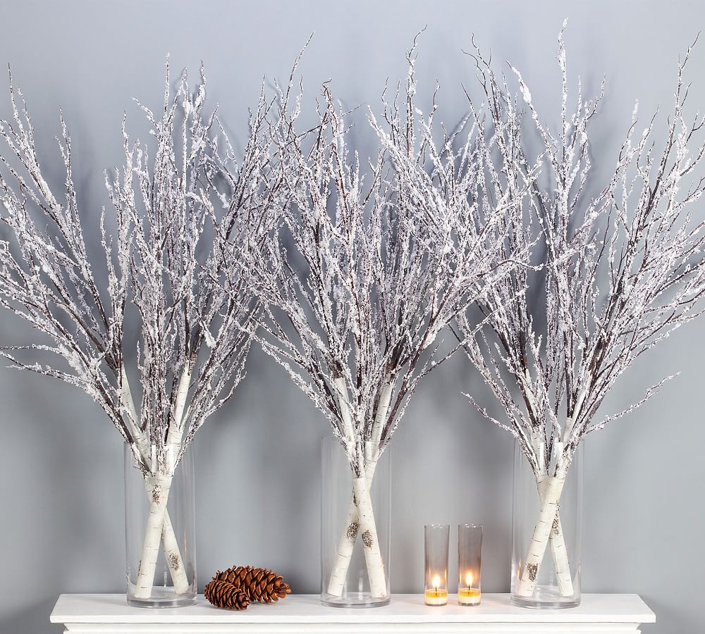 Faux Birch Tree Tops - Set of 6 | Pottery Barn