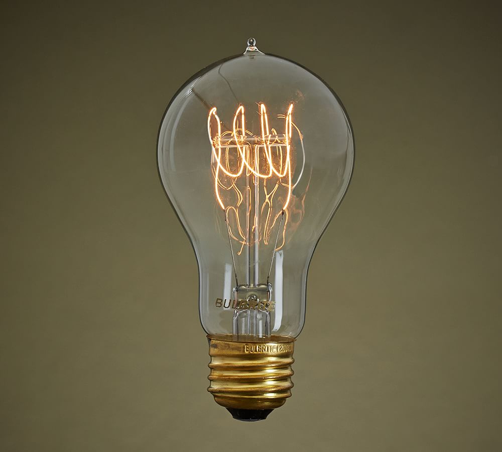 Filament Loop 60W Light Bulb | Pottery Barn
