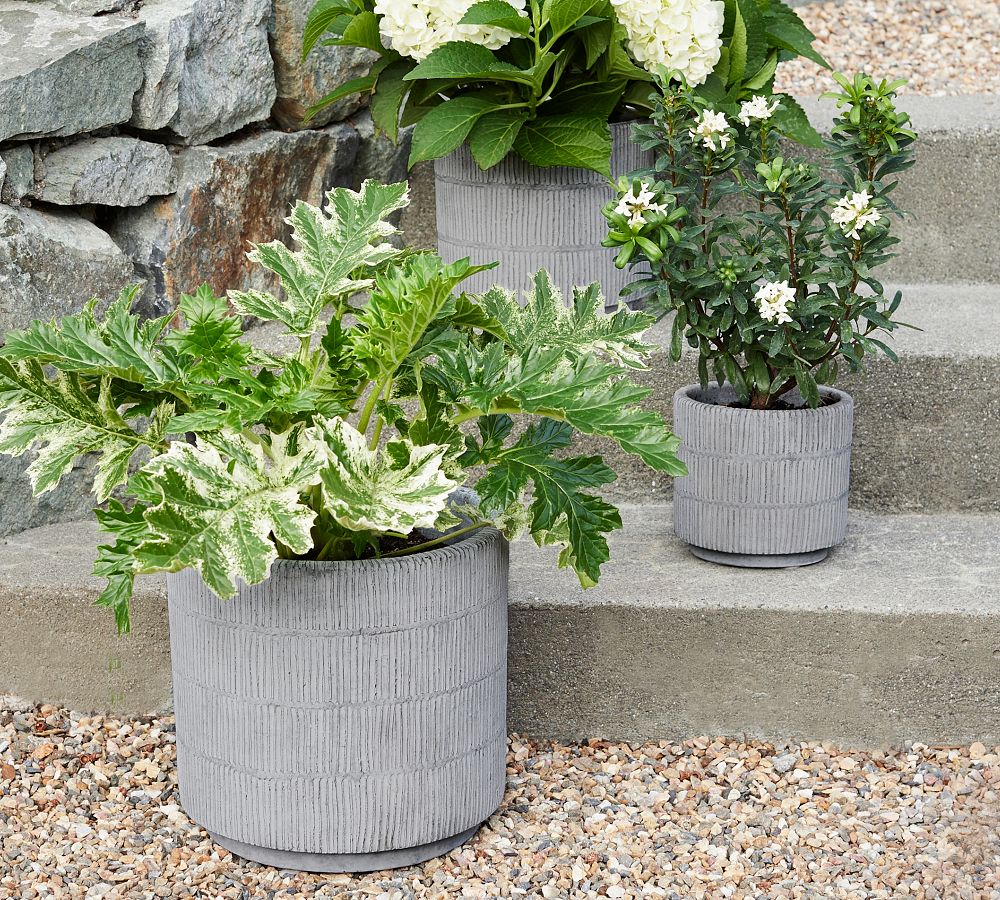 River Cachepot | Pottery Barn