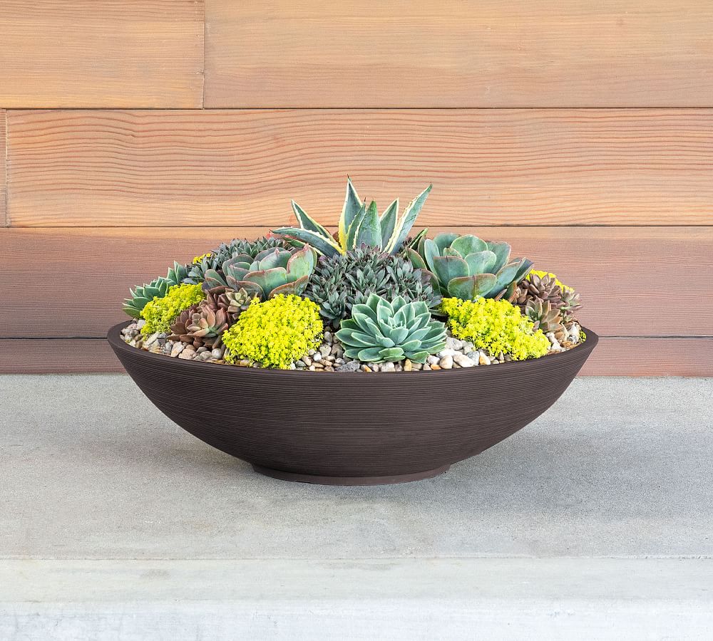 All Weather Eco Hevea Outdoor Bowl Planters | Pottery Barn