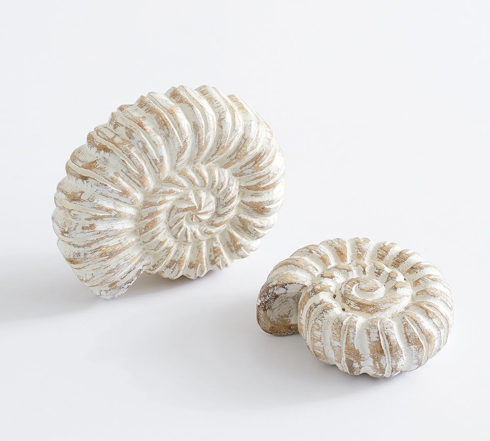 Carved Wood Shells - Set of 2 | Pottery Barn