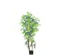 Faux Curved Bamboo Trees | Pottery Barn