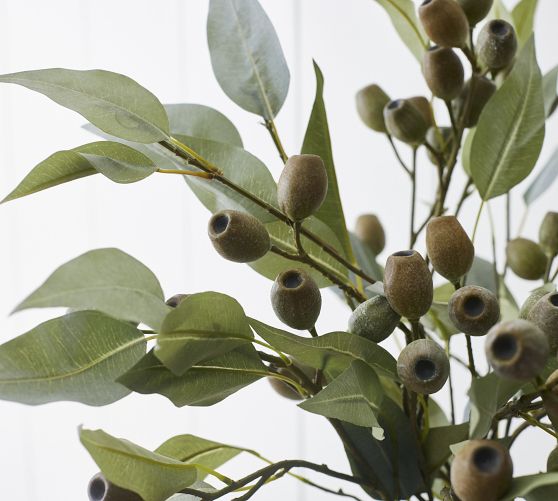 Faux Willow Eucalyptus Bundle | Pottery Barn