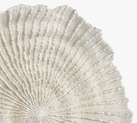 Handmade Ceramic Shell Wall Art - Set of 3 | Pottery Barn