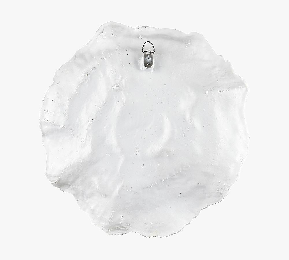 Handmade Ceramic Shell Wall Art - Set of 3 | Pottery Barn