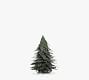 Mahogany Leaf Tabletop Tree | Pottery Barn