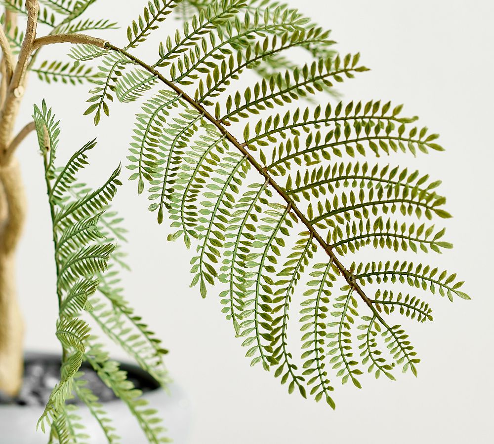 Faux Potted Grey Fern | Pottery Barn
