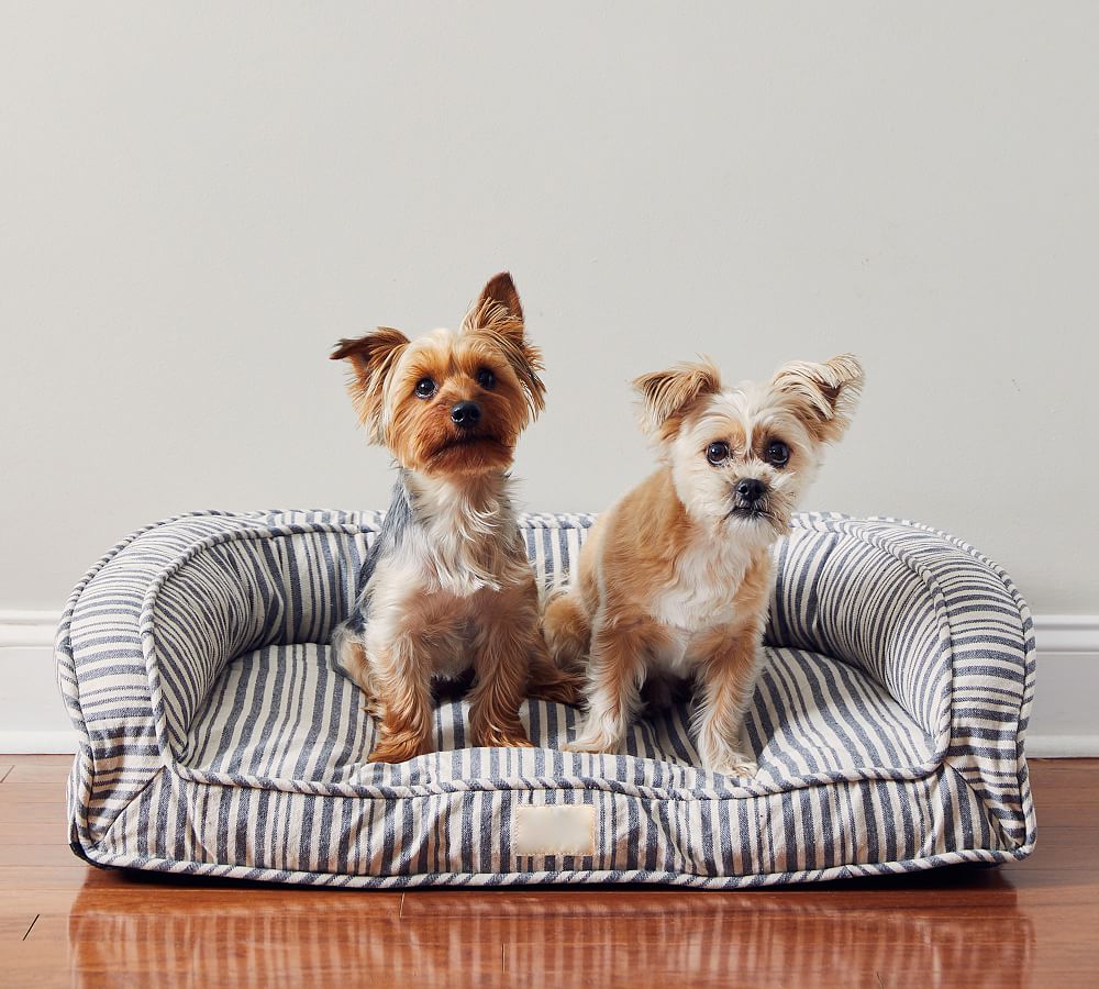 Harry Barker Striped Lounger Pet Bed | Pottery Barn