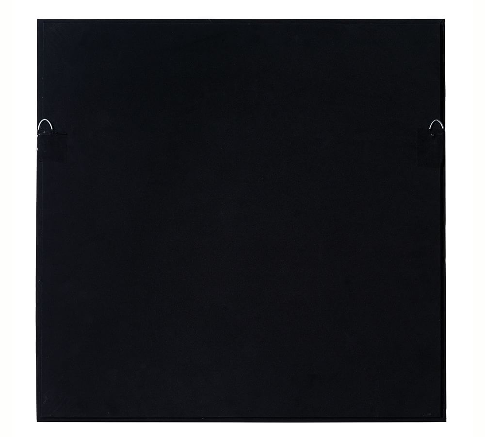 Tulip Shell Shadow Box Wall Art | Pottery Barn