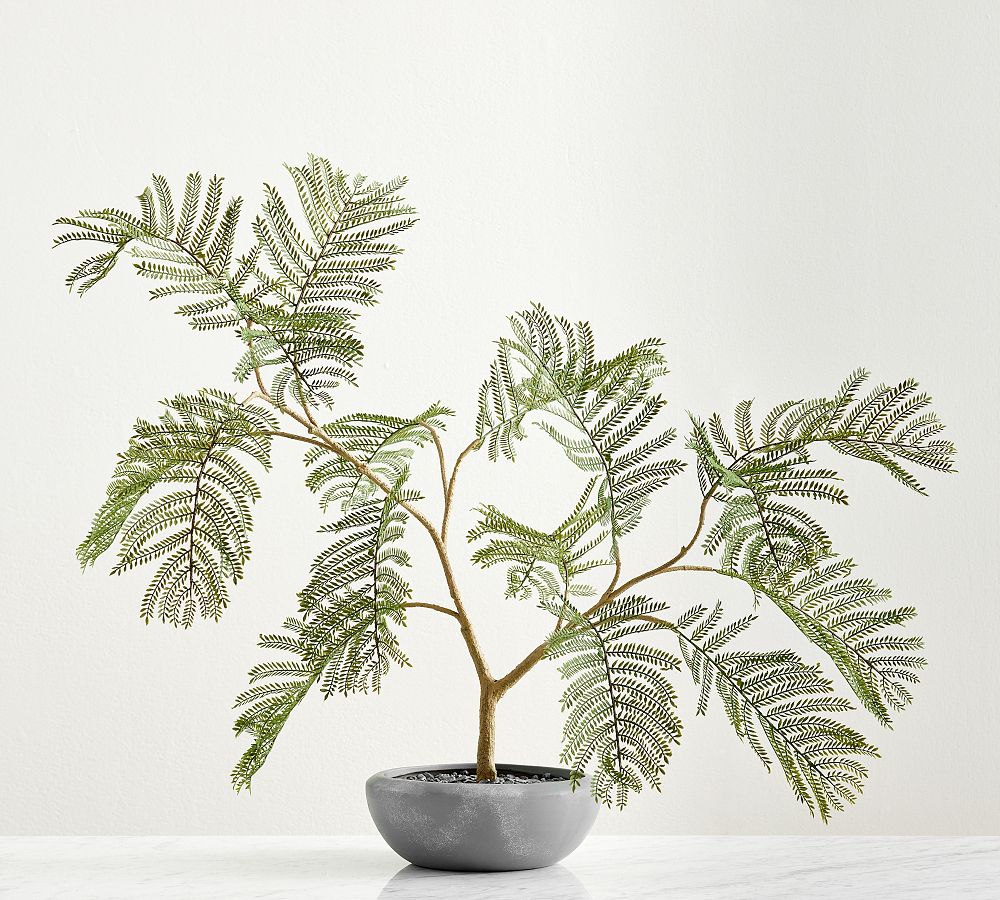 Faux Potted Grey Fern | Pottery Barn