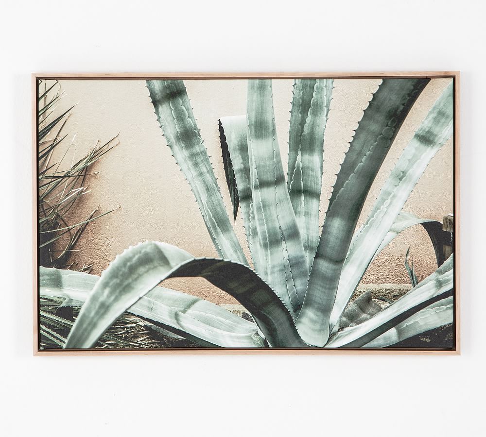 Giant Agave Framed Canvas | Pottery Barn