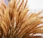 Faux Wheat Bundle | Pottery Barn