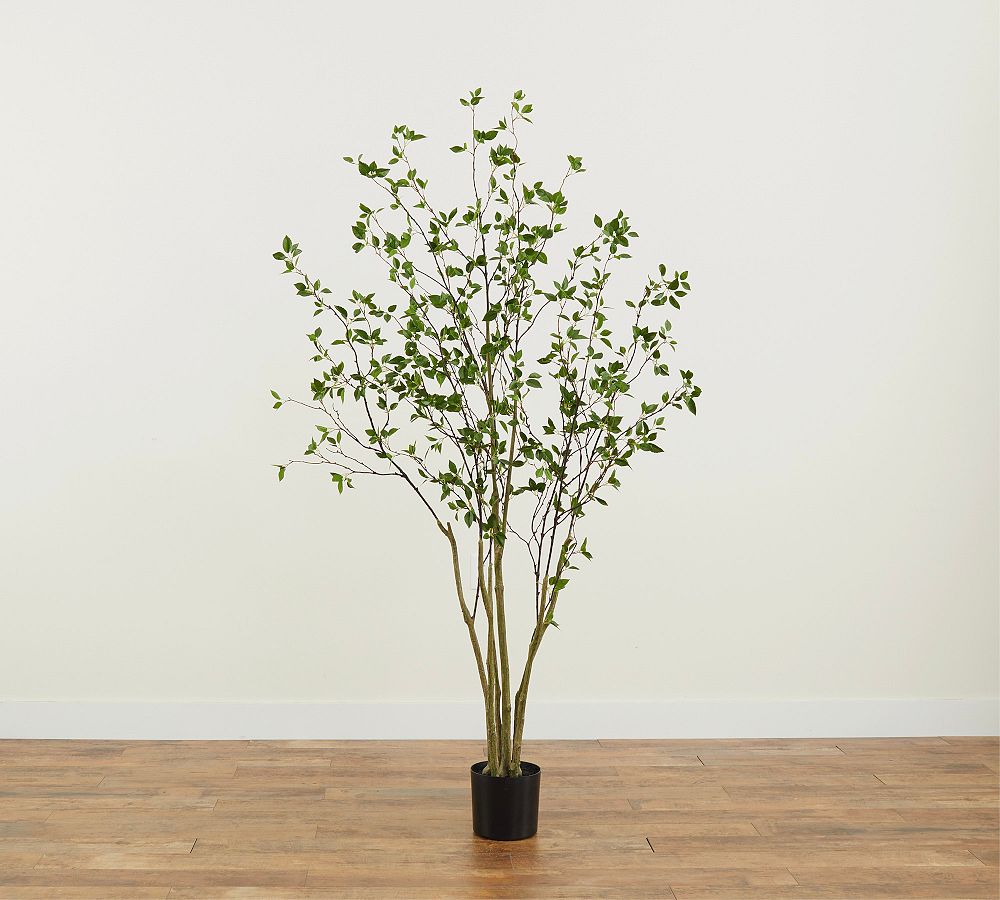 Faux Potted Citrus Tree | Pottery Barn