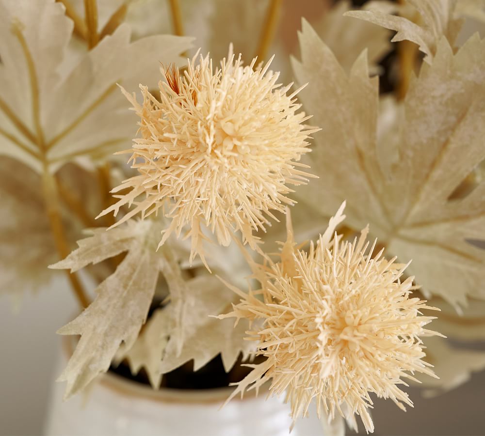 Dried Thistle Arrangement in Ceramic Vase | Pottery Barn
