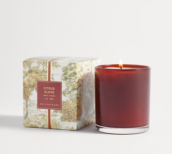 Citrus Clove Scent Collection | Pottery Barn