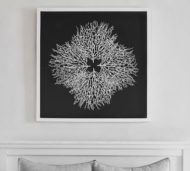 Coral Shadow Box Art | Pottery Barn