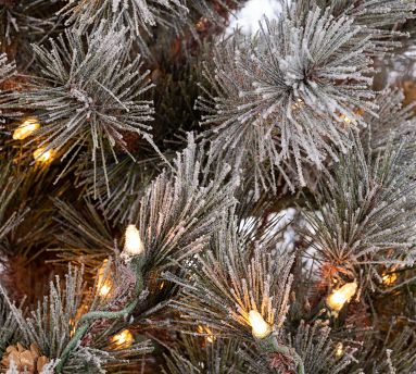 Lit Natural Flocked Scotch Artificial Christmas Tree | Pottery Barn