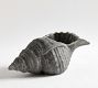 Ceramic Shell | Pottery Barn