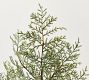 Pre-Lit Faux Cedar Trees | Pottery Barn