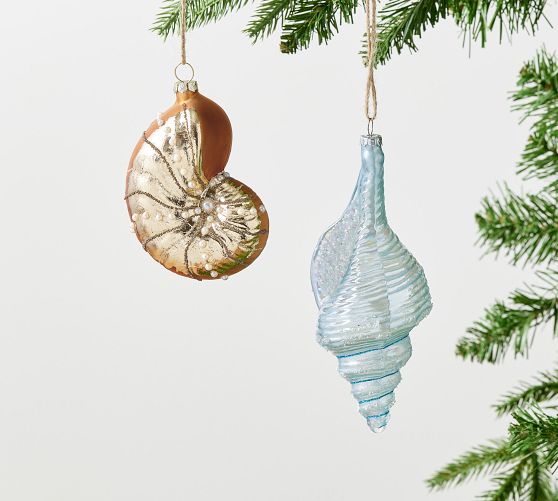 Shell Ornaments | Pottery Barn