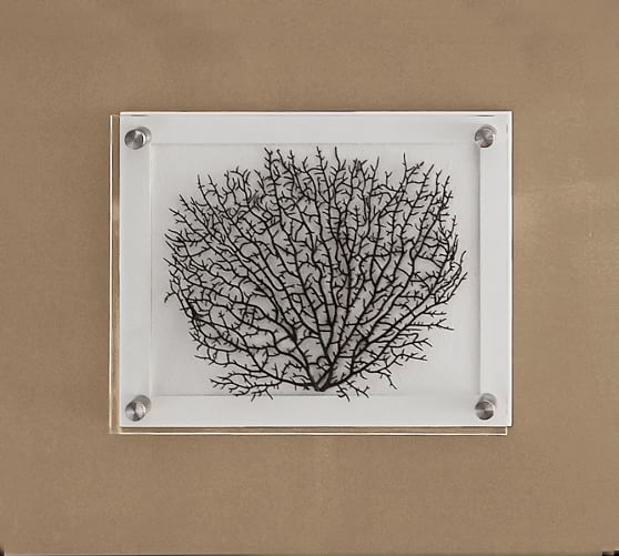 Black Fan Shadow Box | Pottery Barn