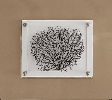 Black Fan Shadow Box | Pottery Barn