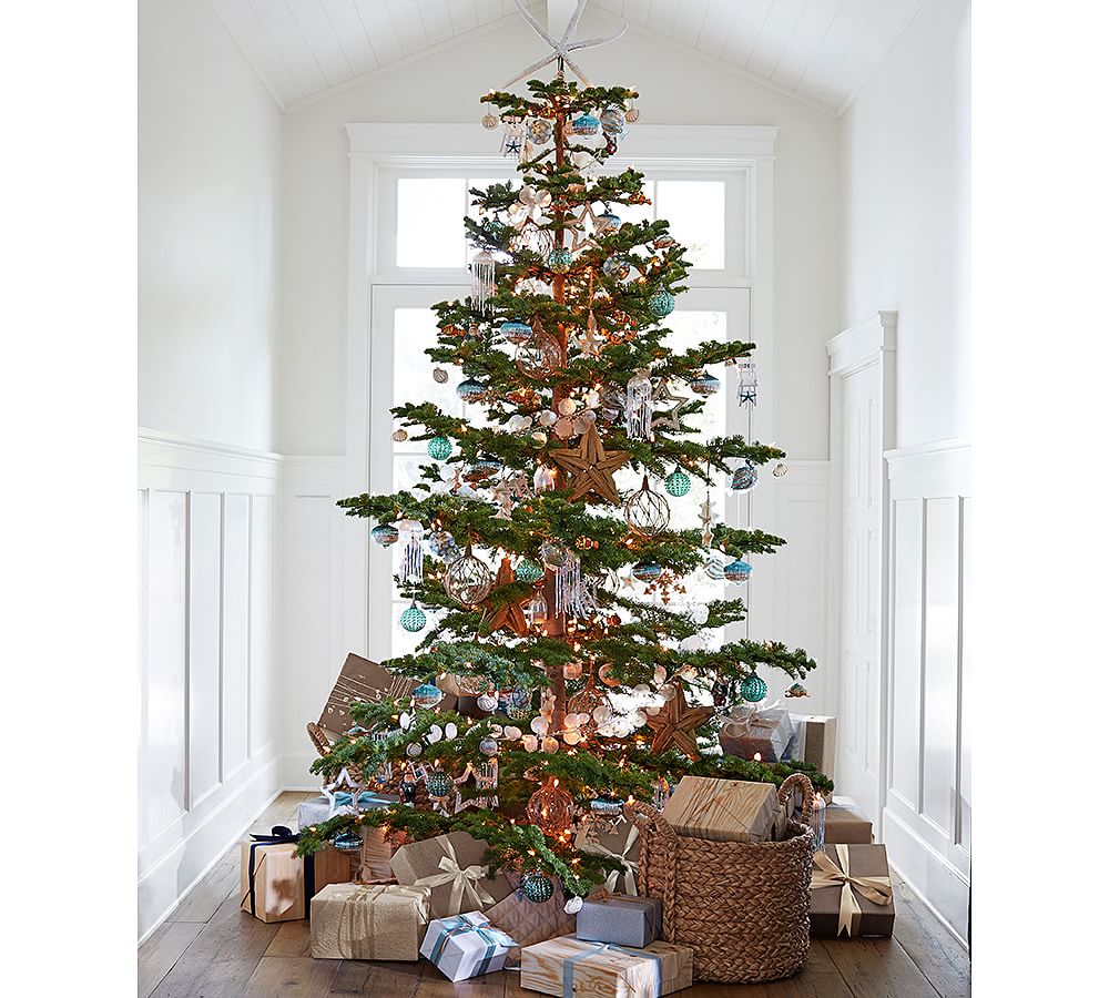 Glass Turtle Christmas Ornament | Pottery Barn