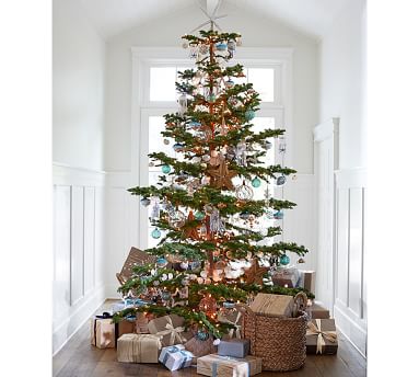 Glass Turtle Christmas Ornament | Pottery Barn