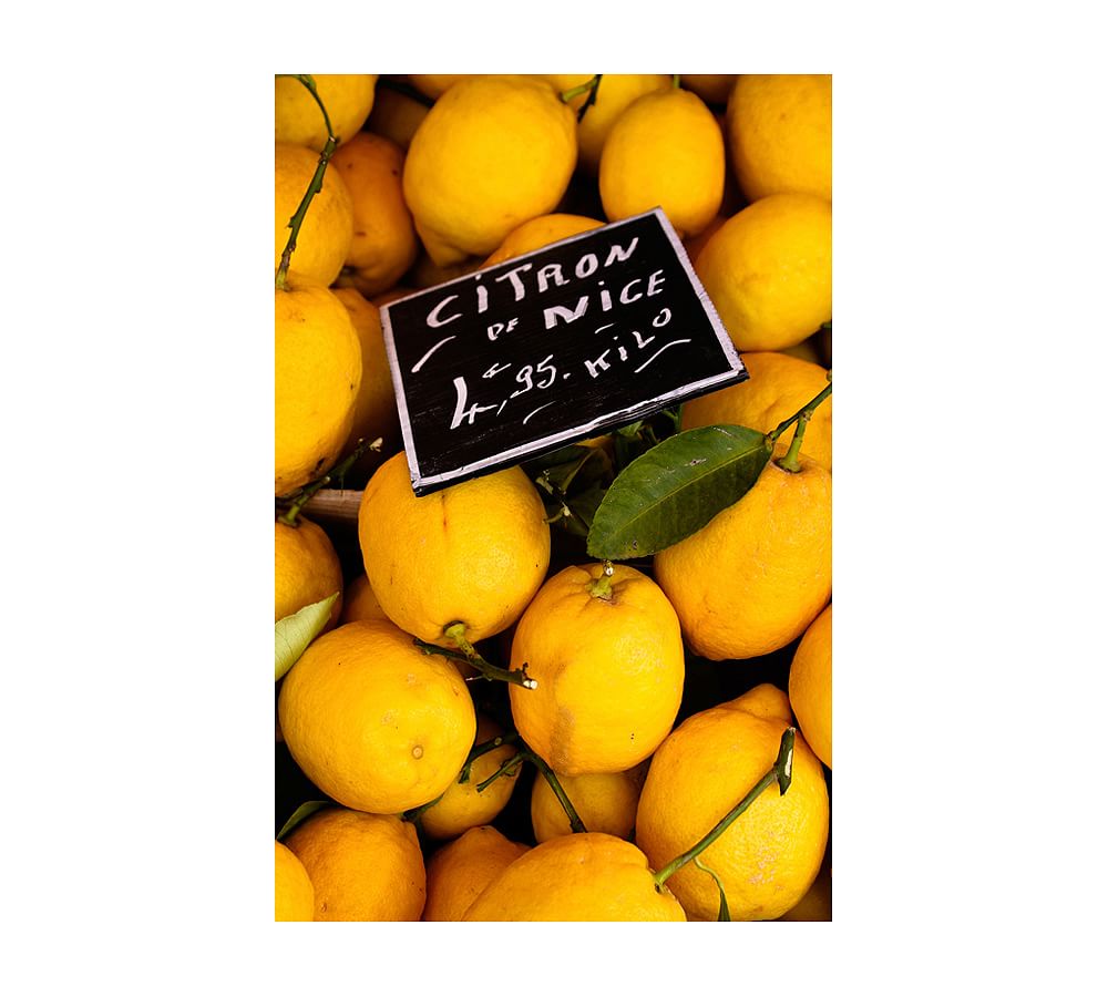 Lemons in the South of France By Rebecca Plotnick | Pottery Barn