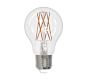 A19 Filament LED Bulb - Pack of 2 | Pottery Barn