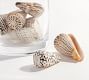 Spotted Conch Shells Vase Filler | Pottery Barn