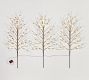 Lit Frosted Faux Berry Twig Branches - Set of 3 | Pottery Barn