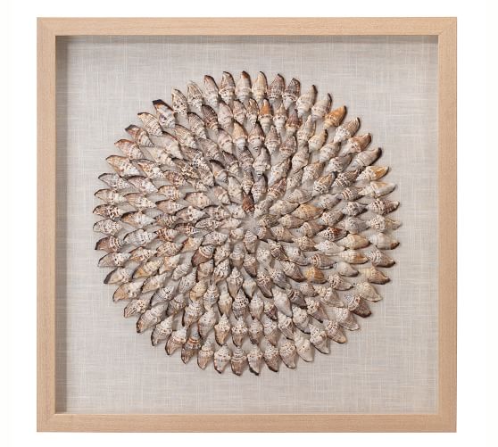Tulip Shell Shadow Box Wall Art | Pottery Barn