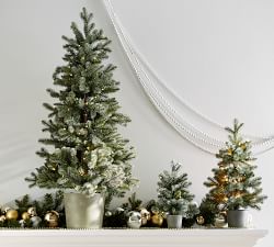 Lit Potted Faux Blue Spruce Trees | Pottery Barn