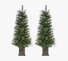Lit Faux Potted Cashmere Trees - Set of 2 | Pottery Barn