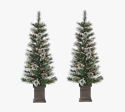 Lit Faux Potted Loveland Spruce Trees - Set of 2 | Pottery Barn