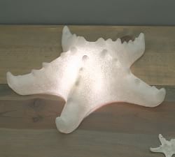 Decorative Lit Frosted Glass Starfish | Pottery Barn