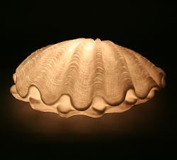Decorative Lit Frosted Glass Clam | Pottery Barn