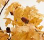 Faux Golden Oak Branch With Acorns | Pottery Barn