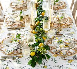 Monique Lhuillier Faux Lemon Wreath & Garland | Pottery Barn