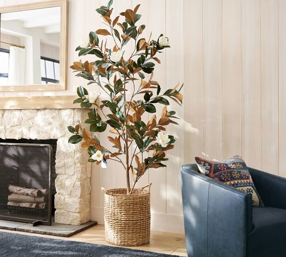 Faux Potted Magnolia Tree | Pottery Barn