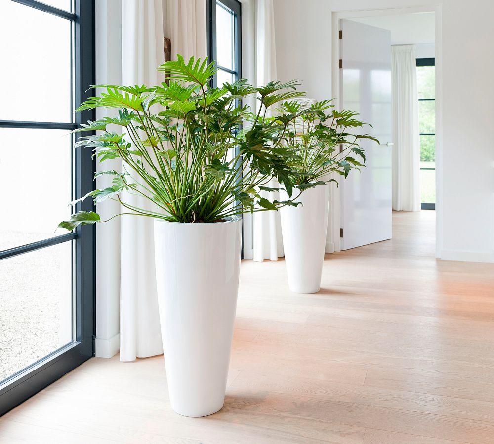 Lightweight Tall Tapered Cylinder Ficonstone Planter | Pottery Barn