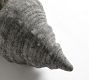 Ceramic Shell | Pottery Barn