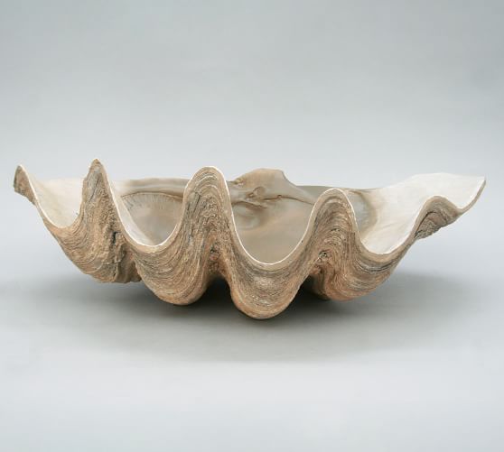 Fossilized Clam Decorative Object | Pottery Barn