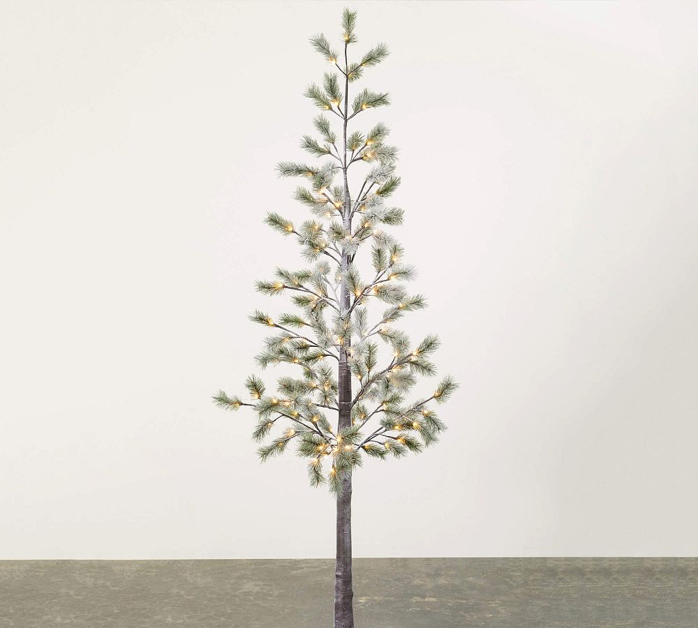 Lit Indoor/Outdoor Snow Pine Tree | Pottery Barn