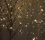 Lit Outdoor Willow Twinkling Twig Tree | Pottery Barn